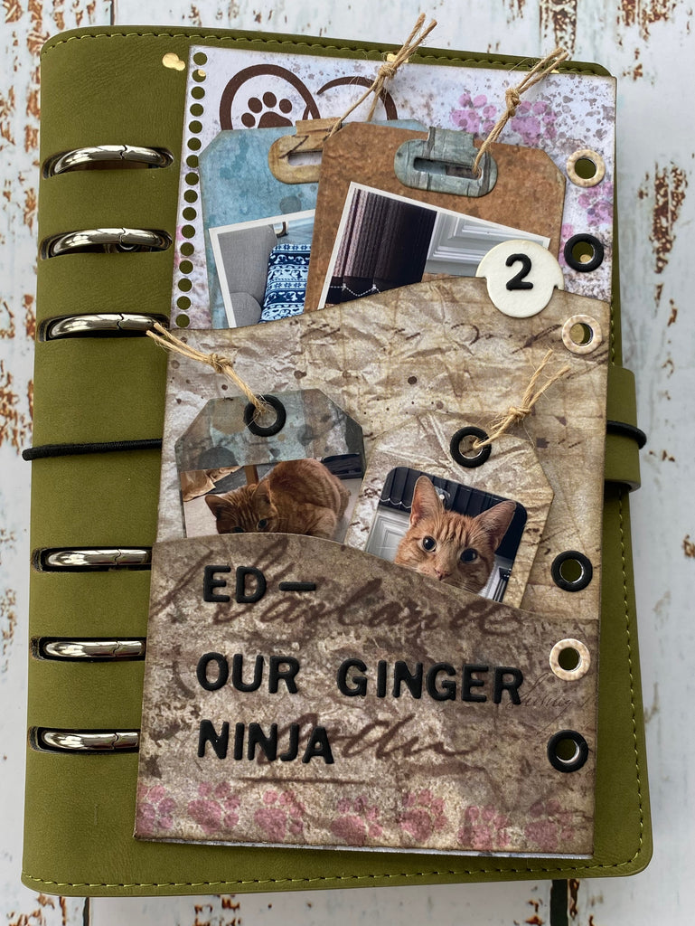 Elizabeth Craft Designs - Sidekick Essentials 18 - Wave Pocket – Julia ...